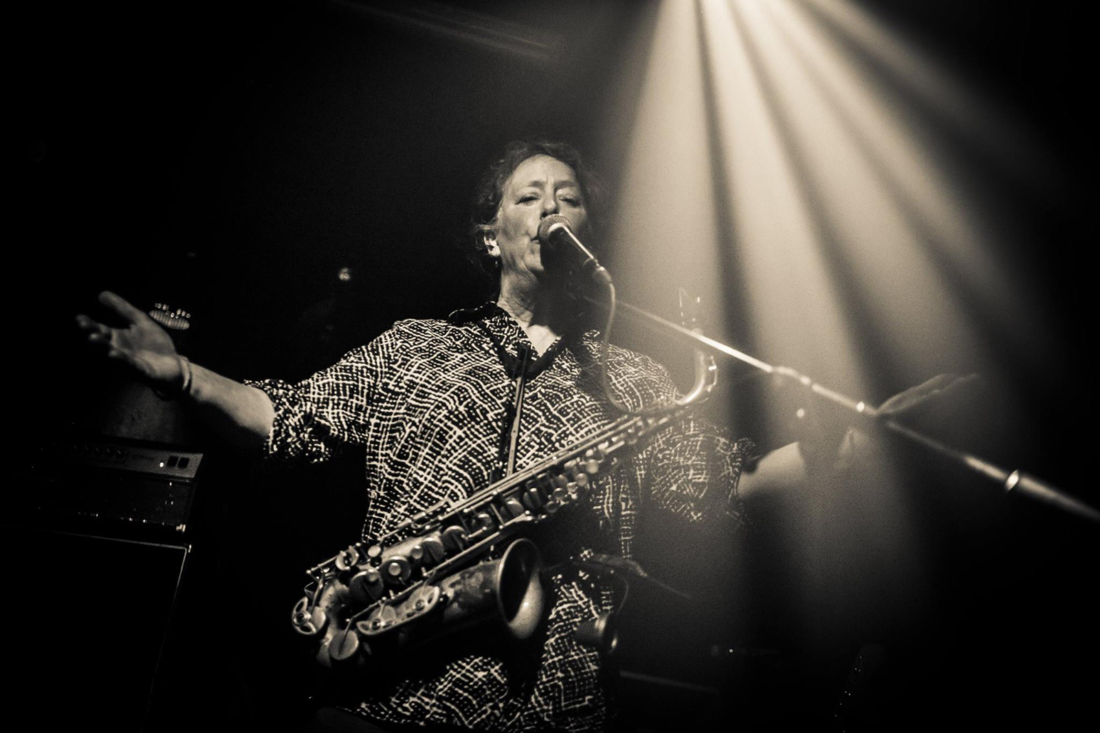 Amy Denio Experience - LoudSwell